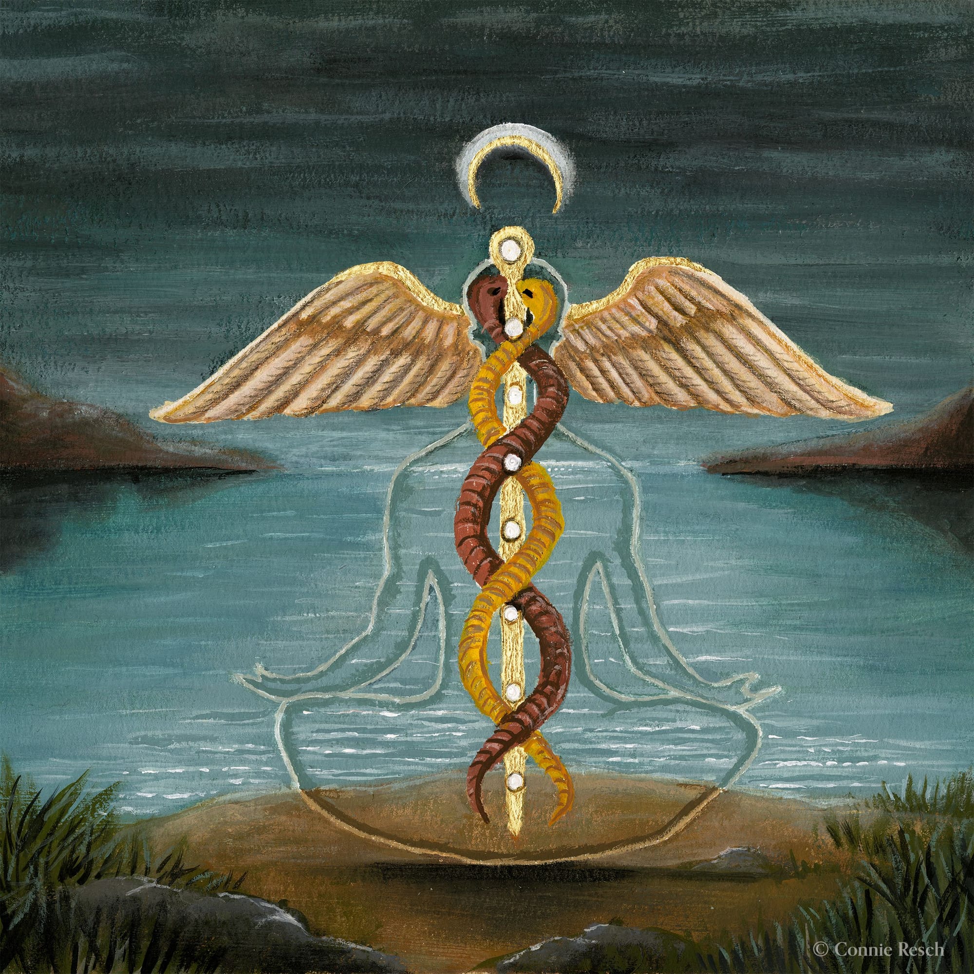 Your Body Knows: Your Body Knows: Unexplained Symptoms & Medical Intuitive Guidance